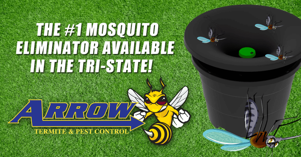 Arrow Termite Pest Control Evansville Pest Control